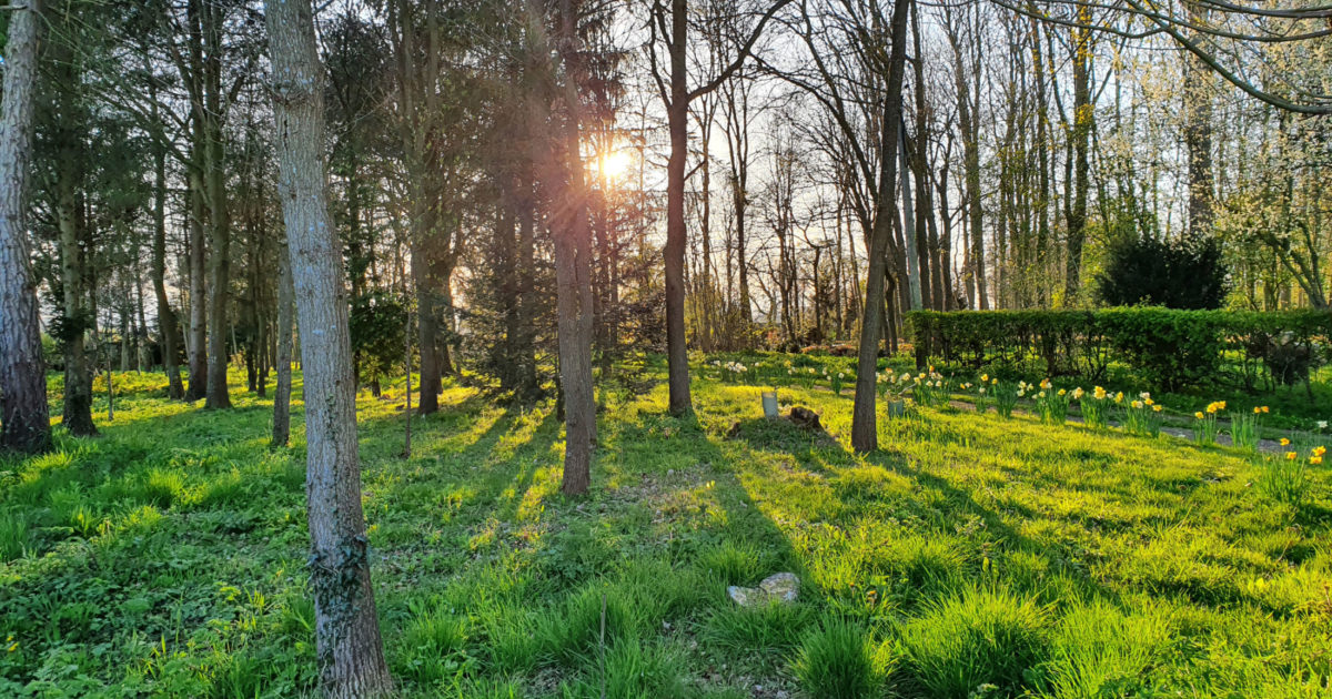 The Barnston Estate welcomes filming and… | Barnston Estate